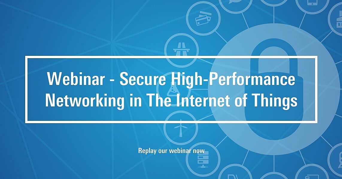 Secure high-performance networking in the Internet of Things